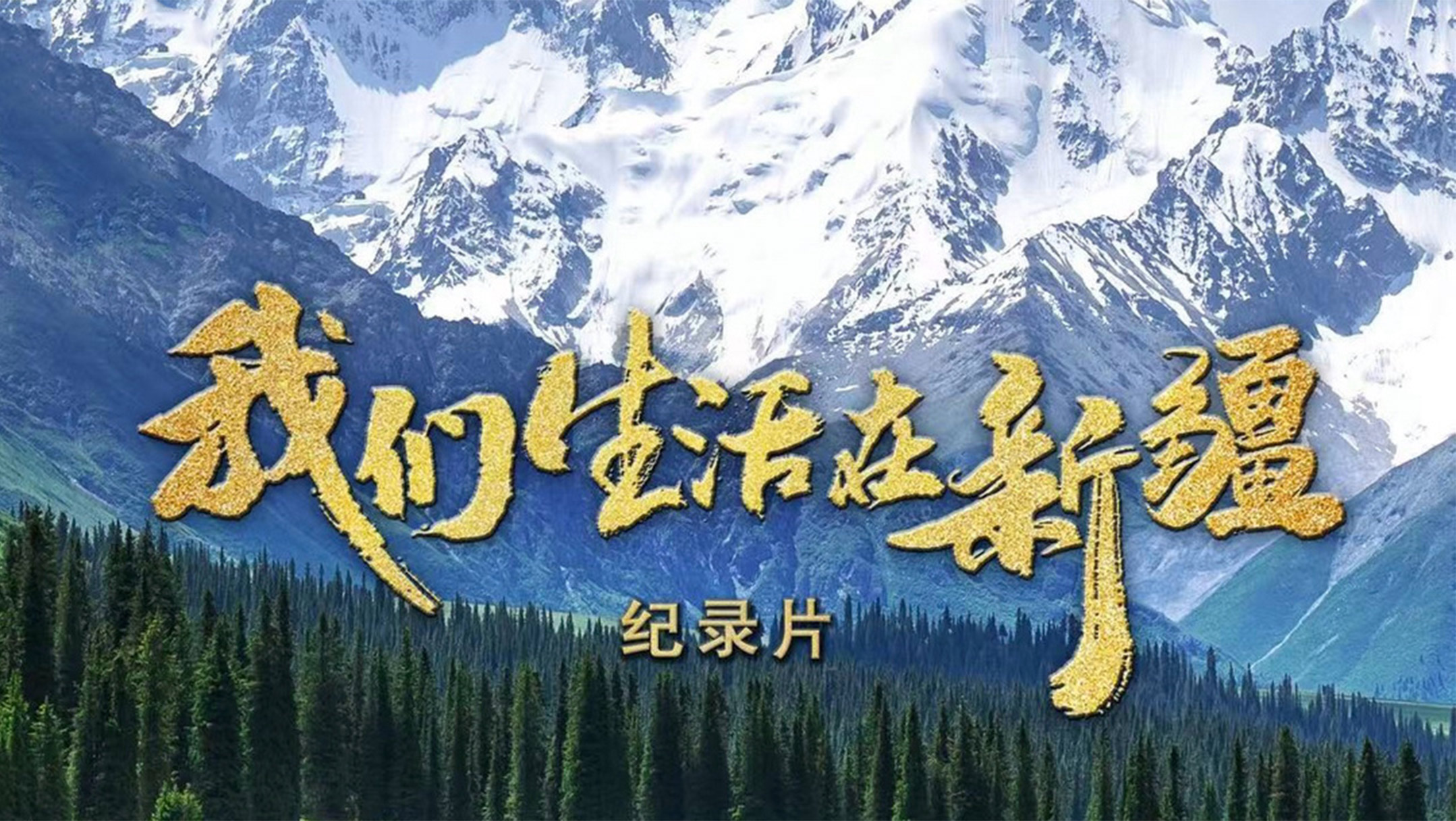 CCTV-4中文国际欧洲频道节目官网_CCTV节目官网_央视网