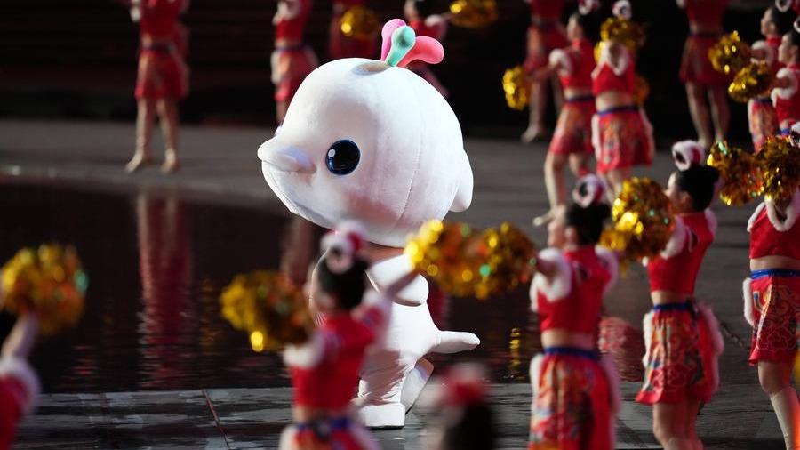 Liu Yuanchun: The Development of Emerging Industries Will Strengthen ...